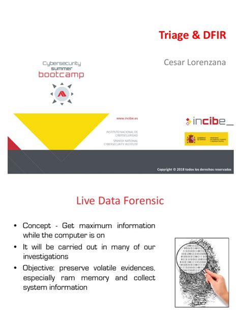 Triage Live Data Forensics Pdf Random Access Memory System Software