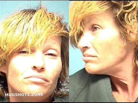 BOONE DIXIE LYNN Lorain County Mugshots Zone