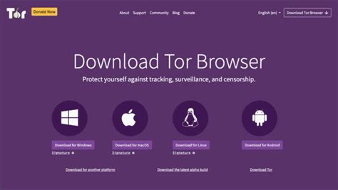Duckduckgo Alternatives Search Engines And Private Browsers Softonic