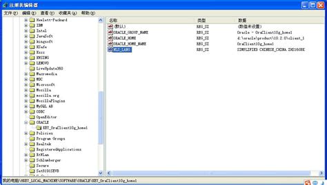Plsql 查询和显示的数据 中文乱码plsql Comments中文乱码 Csdn博客