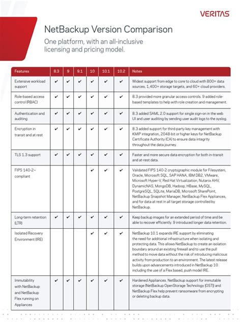 ds netbackup comparison chart v1067 pdf backup cloud computing