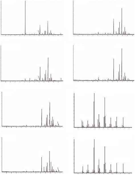 Gas Chromatograph Analysis Of Products Produced By Recombinant F