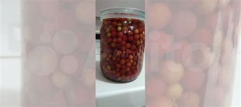 Брусника моченая купить в Твери Товары для дома и дачи Авито