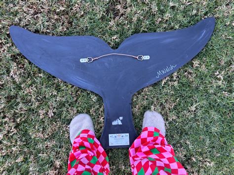 Mosaic Whale Tail Wall Art Sunrise Colors Iridescent Glass Etsy