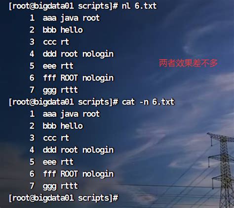 Linux中的shell高级部分之sed操作超详细教学linux Shell Sed Csdn博客 Linux中的shell高级部分之sed操作超详细教学linux Shell Sed Csdn博客