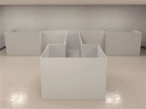 Sheep T Maze Conduct Science