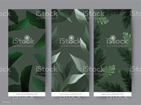 포장 열 대 식물 잎 여름 패턴 배경 스파 리조트 럭셔리 호텔 로고 배너 바우처 직물 패턴 유기에 대 한 브랜딩 벡터 일러스트 레이 션 0명에 대한 스톡 벡터 아트 및 기타