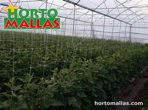 Use Espalier Netting For Appealing Exterior Walls And Garden