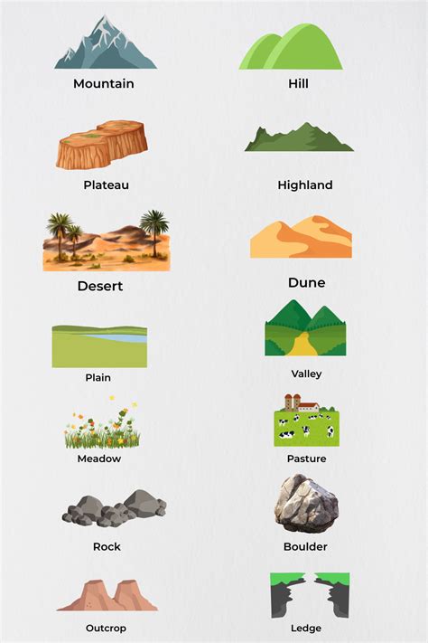 50 Different Types Trees Name In English With Pictures April 2025 Artofit