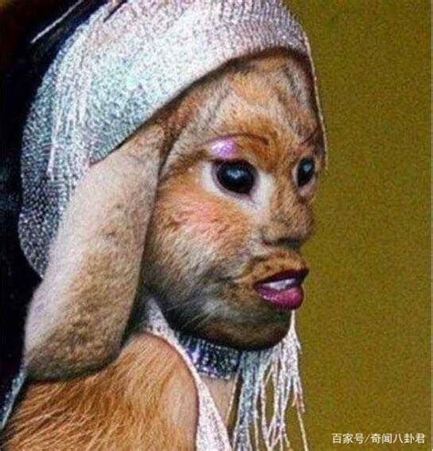 苏联生物学家重金招募5名女性，进行黑猩猩实验，网友：人兽杂交人类基因发展