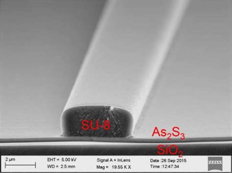 Sem Image Of The Cross Section Of The Fabricated Waveguide Download