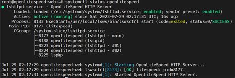 instalasi dan konfigurasi virtualhost openlitespeed idn id