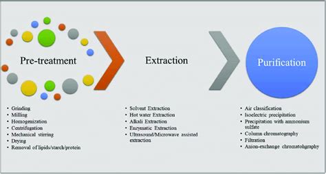 2 General Details Of Beta Glucan Extraction Download Scientific Diagram