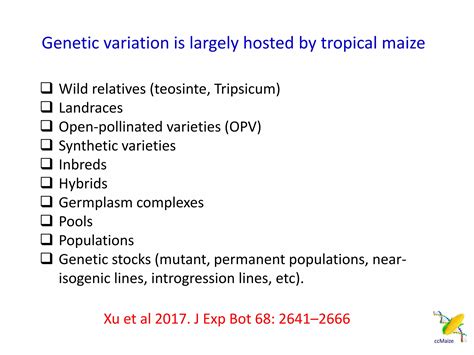 Tropical Maize Genome What Do We Know So Far And How To Use That Information Ppt