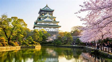 Château Dosaka Plongez Dans Son Histoire Fascinante Et Préparez