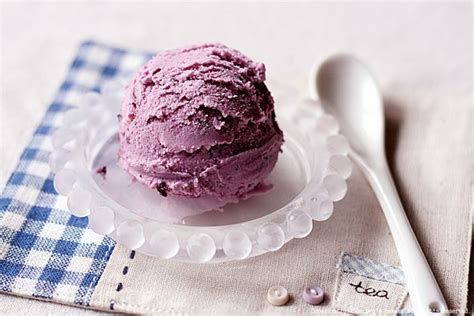 블루베리 요거트 아이스크림