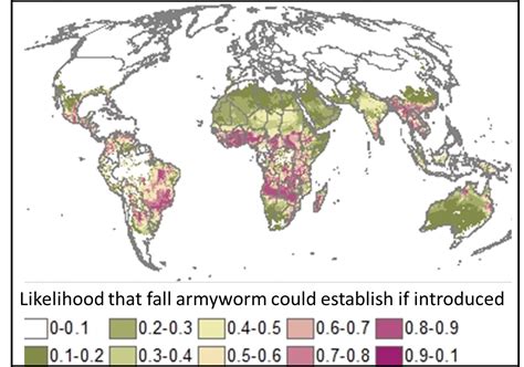 Scientists Forecast Where The Invasive Fall Armyworm Will Strike Next