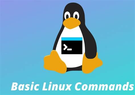 Name And The Use Linux Command Introduction By Jarajan Oct 2023