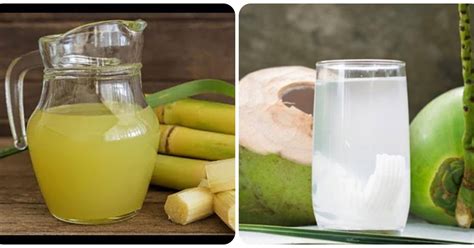 Uống Nước Mía Tốt Hơn Hay Nước Dừa Tốt Hơn