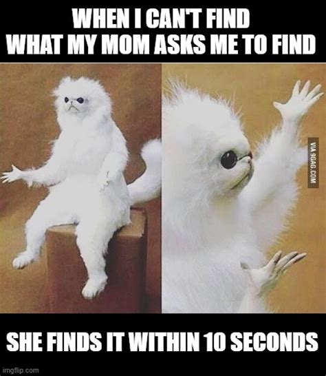 Confused White Monkey Memes Imgflip
