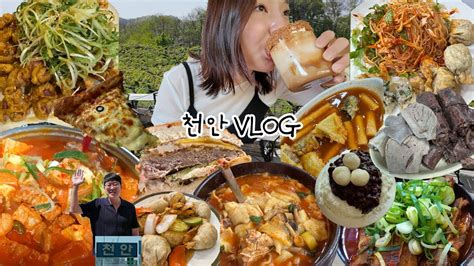 호두과자편 시청에 배부름 주의를 요합니다🤰🏻천안여행 먹방브이로그 김치찌개 매운 뼈해장국 햄버거 마늘떡볶이 칼국수 배나무숲 닭수제비 닭똥집 치킨 병천순대