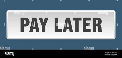 Pay Later Button Pay Later Square White Push Button Stock Vector Image And Art Alamy