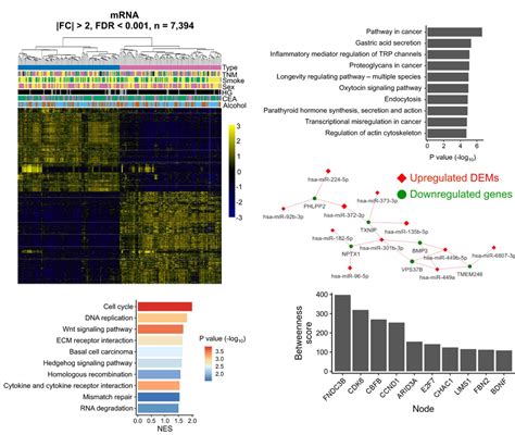 Whole Transcriptome Sequencing Agtc Genomics
