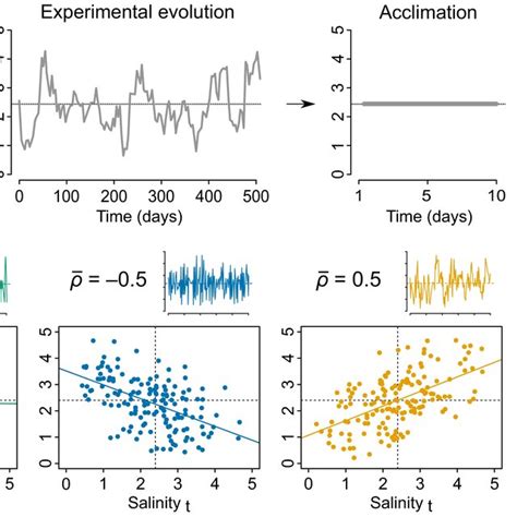 Evolution Of Morphological Plasticity In Response To Environmental Download Scientific Diagram