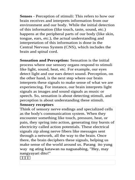 my script pdf senses somatosensory system