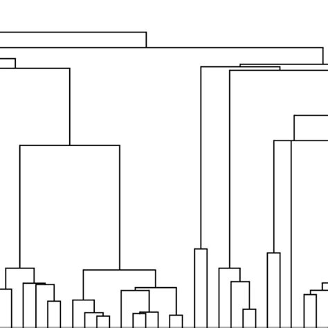 Diagram Of Similarity Of Trees On The Correlationsfeatures Of