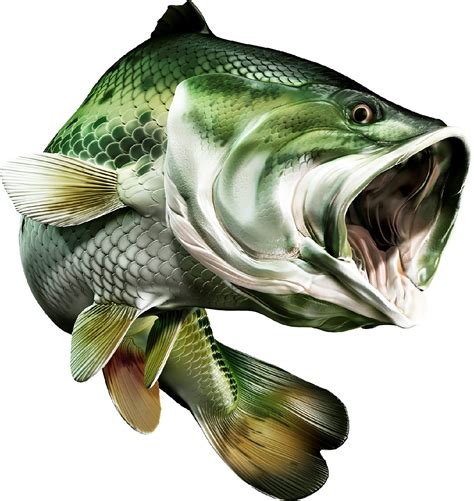 Bass Pro Decals At Judy Canup Blog