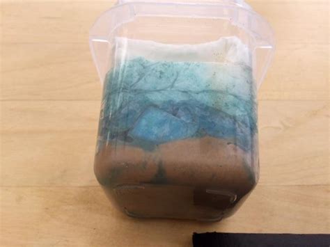 More About Fossil Formation Ks2 Y3 Science Lesson Resources Oak National Academy