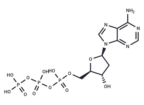 2 Deoxyadenosine 5 Triphosphate Dna Rna Synthesis Targetmol