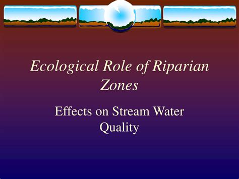 Ppt Ecological Functions Of Headwaters Streams And Riparian Zones
