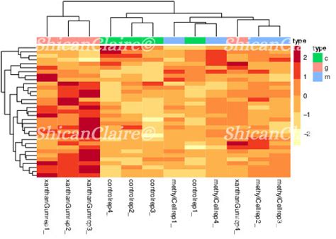 Bioinformatic Approach Biopath Analytica