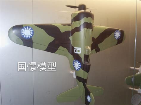 军事模型 上海国憬模型制作设计有限公司