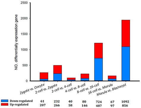 Genes Free Full Text Identification And Functional Analysis Of