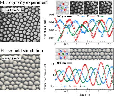 Figure 2 From Atomistic To Continuum Modeling Of Solidification