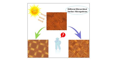 Photocontrollable Wrinkle Morphology Evolution On Azo Based Multilayers For Hierarchical Surface