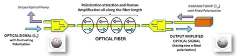 Principle Of The Device Allowing Both Polarization Attraction And Raman