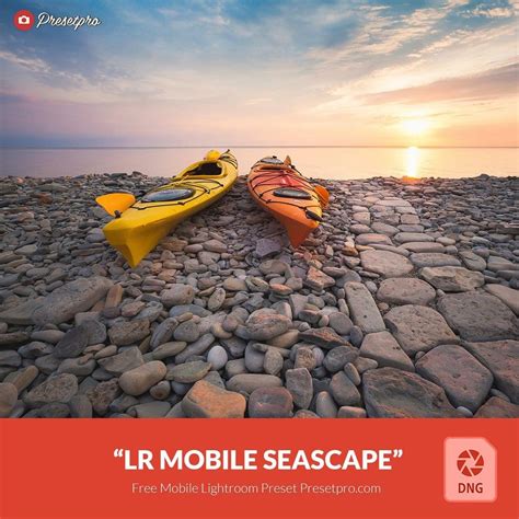 Free Mobile DNG Preset For Lightroom Snowfall ChicPresets Com