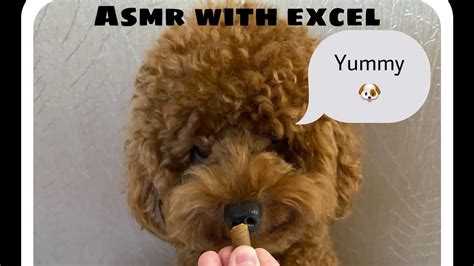Asmr With Excel 🐶 Youtube