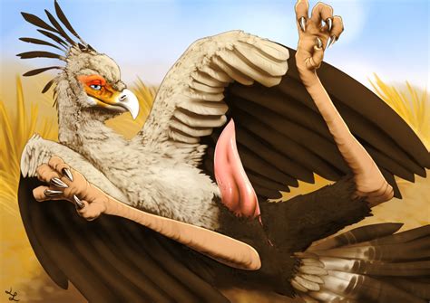 Rule 34 Avian Bird Cloaca Feral Fur Furry Lizardlars Male Male Only