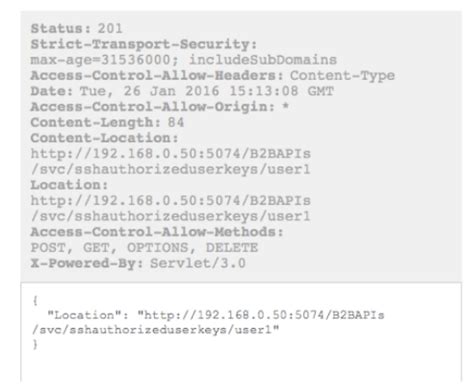 Introduction To The New Sterling B2b Integrator Rest Api