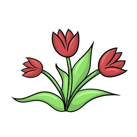 Ramo De Tulipanes Rojos Con Hojas Doodle Dibujos Animados Vectoriales
