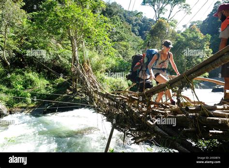 Trekkers Crossing A Wooden Bridge On The Kokoda Track Papua New Guinea