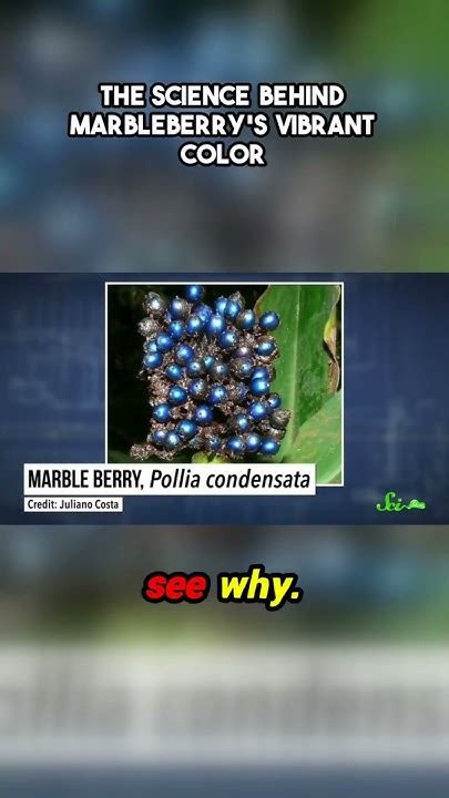 The Science Behind Marbleberrys Vibrant Color Youtube