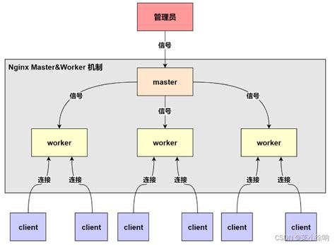 nginx 高性能调优与安全加固实战指南 nginx stream 加固 csdn博客