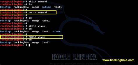 Hackingdna Shell Scripting On Kali Linux