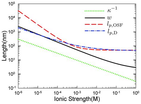 Calculation Of The Debye Length Effective Width And Persistence